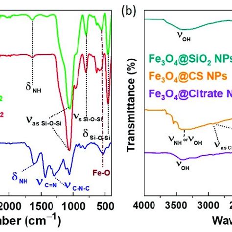 Ftir Spectra Of A Single Core Mnps Fe 3 O 4 Pda Blue Pattern Fe Download Scientific