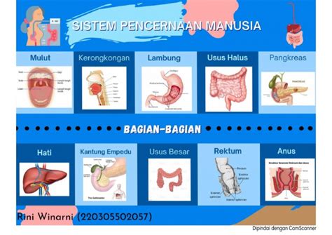 D17 Rini Winarni 3 Pdf