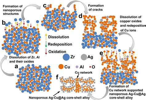 Illustration Of The Evolution Of The Nanoporous Ag Cuag Core Shell Download Scientific Diagram