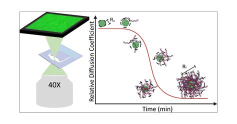 Real Time Visualization Of Hiv 1 Rna Detection Using Loop Mediated