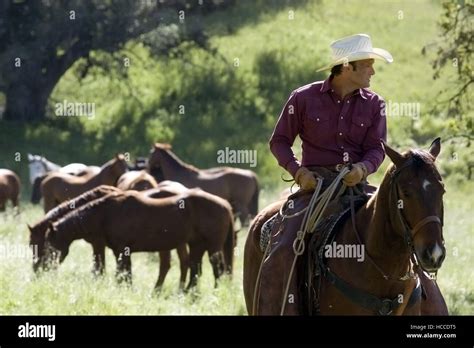Flicka Tim Mcgraw 2006 Tm And Copyright C 20th Century Fox Film Corp