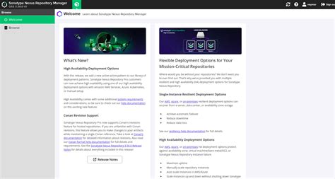 Build And Push Your Image To Nexus Stakater App Agility Platform Saap