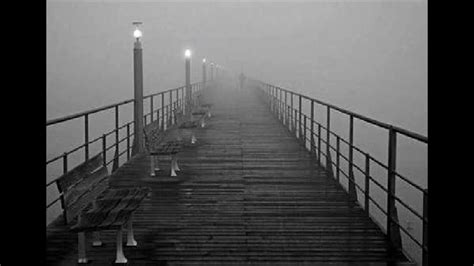 შეშლილი ჩიტები Youtube