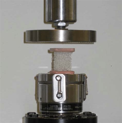 Experimental Foam Compression Test Setup The Lower Platen Is Download Scientific Diagram