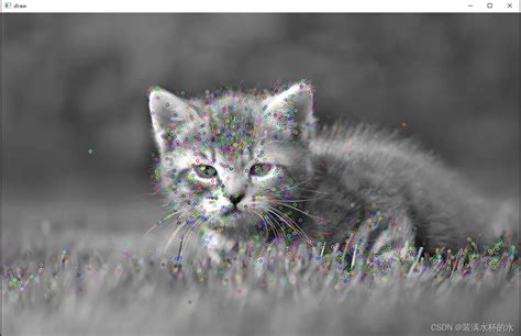 opencv python学习（六） cv2 sift csdn博客