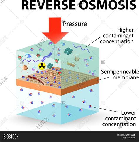 Reverse Osmosis Vector Photo Free Trial Bigstock