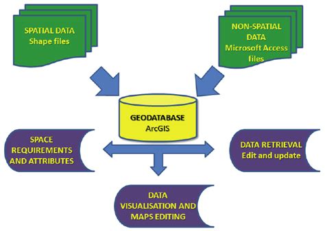 Conceptual Diagram Of The Database Download Scientific Diagram