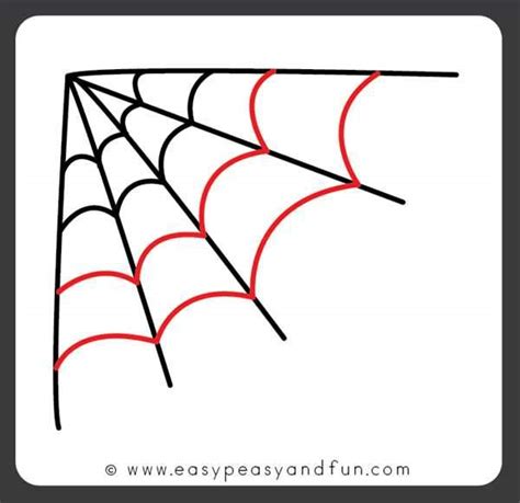 Learn How To Draw A Spider Web Step By Step Guide