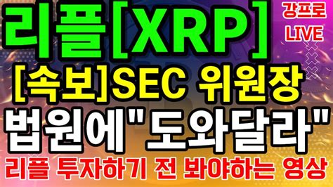 리플 코인 ⚡️속보⚡️ Sec위원장 개리갠슬러⚡️법원에 도와달라 요청 리플투자하기 전 꼭 봐야하는 영상 룸네트워크 이뮤터블엑스 아크 코인 Youtube