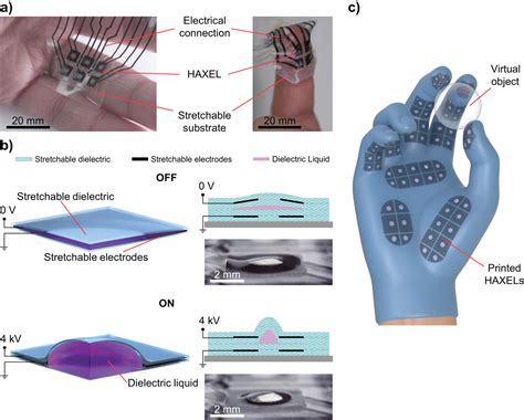 Fully 3d‐printed Stretchable And Conformable Haptic Interfaces Grasso 2023 Advanced