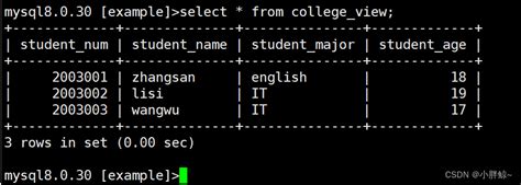【数据库】mysql 索引视图详解 csdn博客