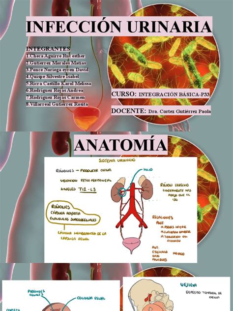 Infección Urinaria Causas Y Tratamiento Pdf Infección Del Tracto