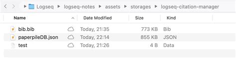 no existing db can t be found · issue 68 · sawhney17 logseq citation