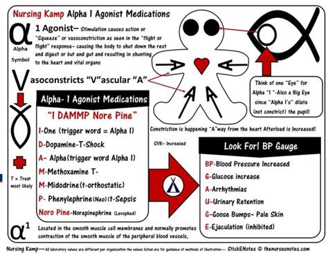 Dopamine Versus Levophed