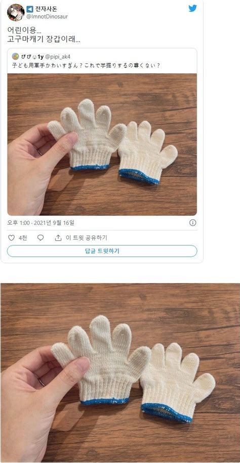 어린이 전용 야가다 장갑 웃긴 밈 귀여운 밈 밈