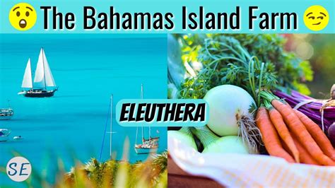 The Best Produce In The Bahamas Is The Island Farm In Eleuthera