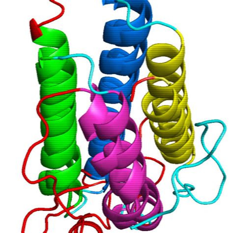 Pdf Connectivity Independent Protein Structure Alignment A