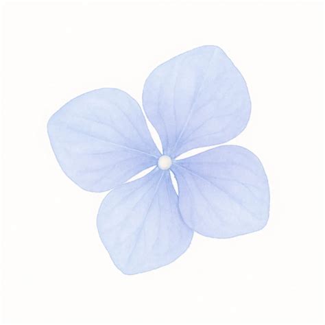 おしゃれセミリアルでかわいい紫陽花の花びら｜イラスト・フリー素材なら「シンテリ」