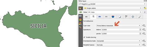 Label Capitalize First Letter Not Working Properly · Issue 34008
