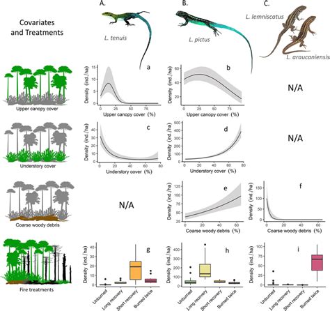 Modeling Results For Lizard Density In Relation To Meaningful Habitat Download Scientific
