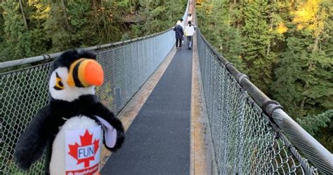 일본어 가이드와 함께 반나절 노스 밴쿠버 관광 4월~10월 Kkday