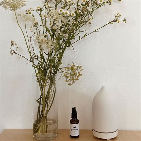 Alevan Botanica On Instagram “create Your Ritual With Our Evening