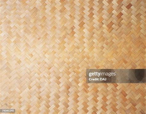 Reticulated Pattern Photos And Premium High Res Pictures Getty Images