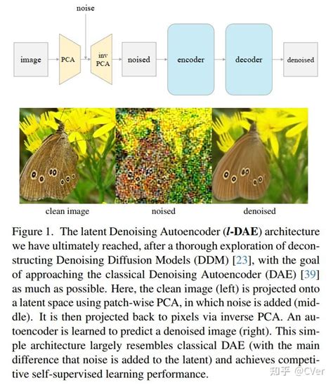 何恺明新作l Dae：解构去噪扩散模型 知乎