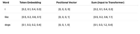 input embeddings and positional encoding the forgotten foundations of