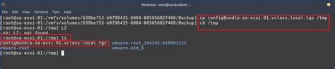 How To Take Backup Of Esxi Host And Restore From Backup Cloudthat