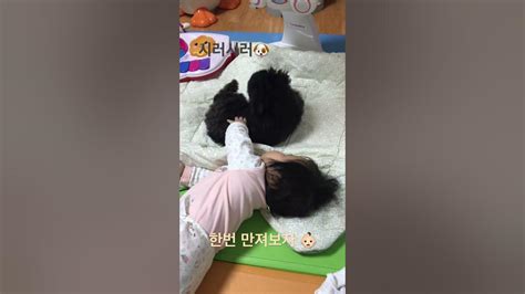강아지랑 놀고싶은 아기👶🏻 Youtube