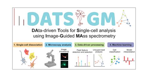 Data Driven And Machine Learning Based Framework For Image Guided Single Cell Mass Spectrometry