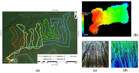 Situation In The Forest Plot And Lidar Data Acquisition Results A