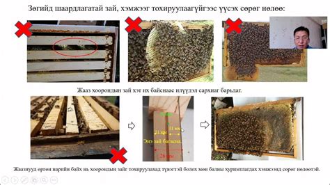 2 р хичээл ЗӨГИЙН БҮЛИЙН ХАВРЫН АРЧИЛГАА МАЛЛАГАА 2 Youtube