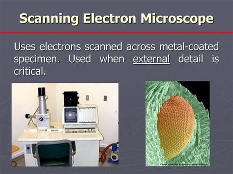 Original Scanning Electron Microscope Images Used Stock Original Scanning Electron Microscope Images Used Stock