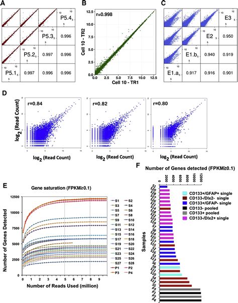 Single Cell Transcriptome Analyses Reveal Signals To Activate Dormant Neural Stem Cells Cell