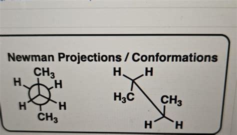 Solved Newman Projections Conformations Chegg Com
