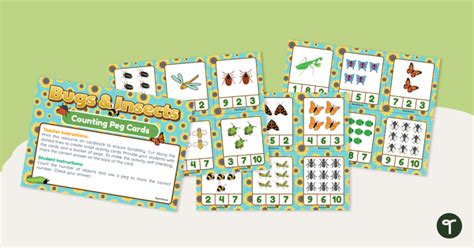 Counting Peg Cards Bugs And Insects Teach Starter