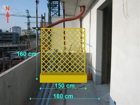 Rampicante In Terrazza Per Un Neofita Pagina Forum Di Giardinaggio It