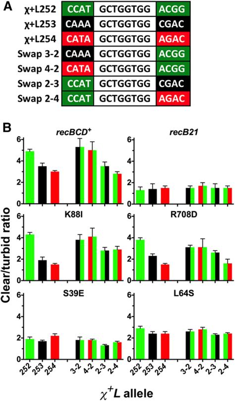 Context Dependence Of Chi Activity In Wild Type Recbcd Recbcd Download Scientific Diagram