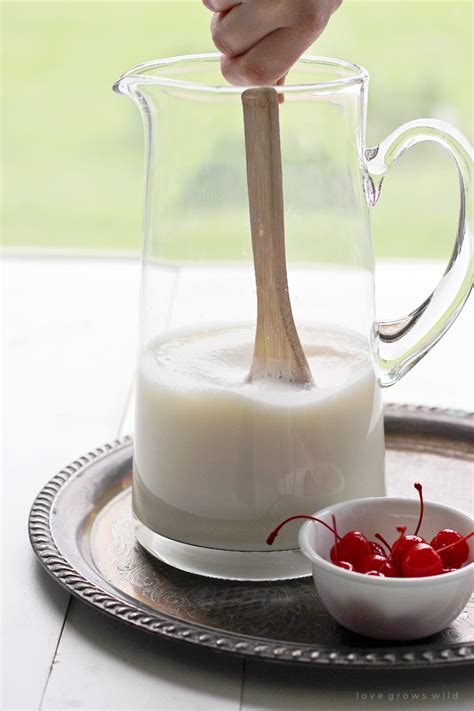 Vanilla Italian Cream Soda Love Grows Wild