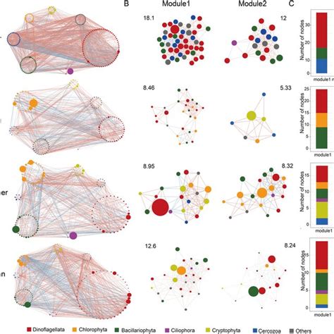 Patterns Of The Asvs Of Microeukaryotes And Syndiniales A The 50 Most