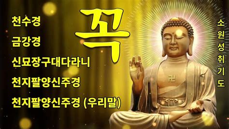 불교음악 반야심경🌕 바라는 대로 이루어진다 반복 확언 원하는 삶을 사는 확언 명상 소원을 이루는 확언 소망 꿈을 이루는 확언 명상 자기암시 Youtube Music