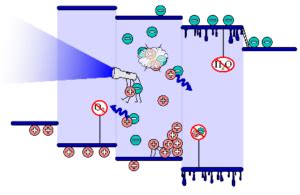 The Blue Problem OLED Stability And Degradation Mechanisms Organic Semiconductor Centre