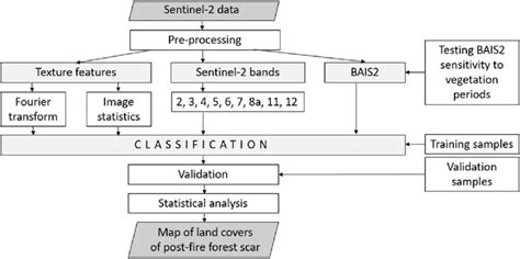 Flow Chart Of Classification Steps Download Scientific Diagram