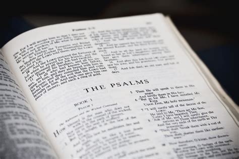 ¿Qué son los salmos?