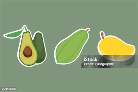 열대 과일 스티커 세트 특징 아보카도 파파야 망고 벡터 일러스트 개체 그룹에 대한 스톡 벡터 아트 및 기타 이미지 개체 그룹 건강한 생활방식 건강한 식생활 Istock