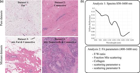 A Examples Of Histopathology In The Datasets Used In The Analyses Download Scientific