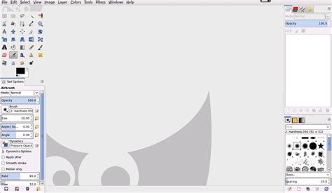 GIMP Review Expert GIMP Editor Review By FixThePhoto