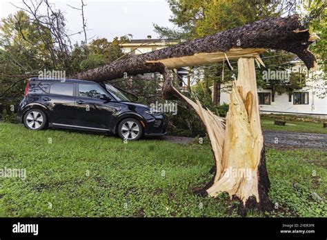 A Severed Tree Is Seen Laying Atop Of Damaged Family Car In Driveway After Severe Storm Brings